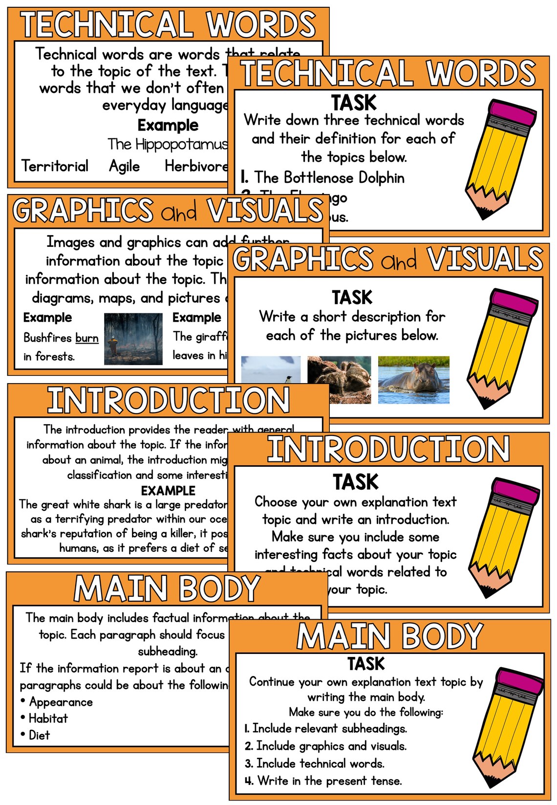 Information Text Reading Writing Powerpoint Presentation - Guided ...