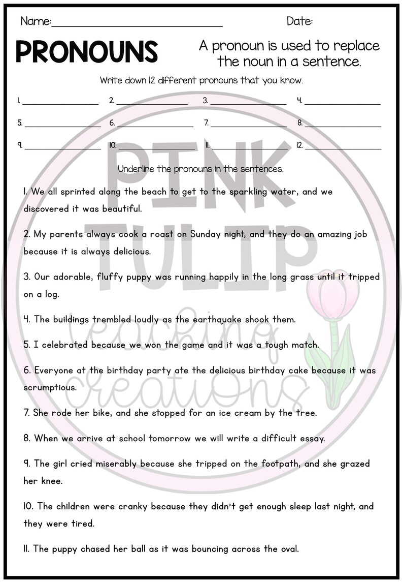 Understanding Pronouns Worksheets No Prep Printables - Etsy