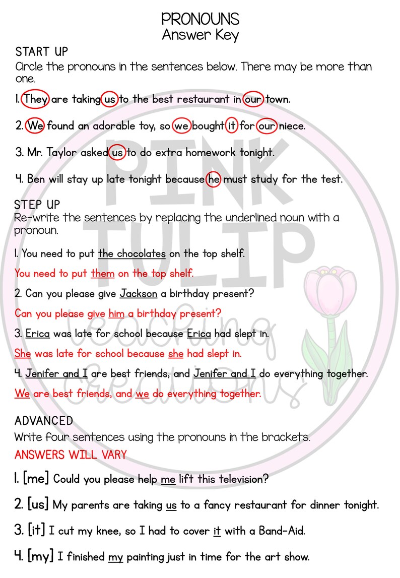 Nouns Pronouns and Capital Letters Grammar Worksheets With - Etsy