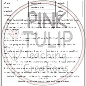 Using Punctuation Grammar Worksheets - No Prep Printables - Etsy