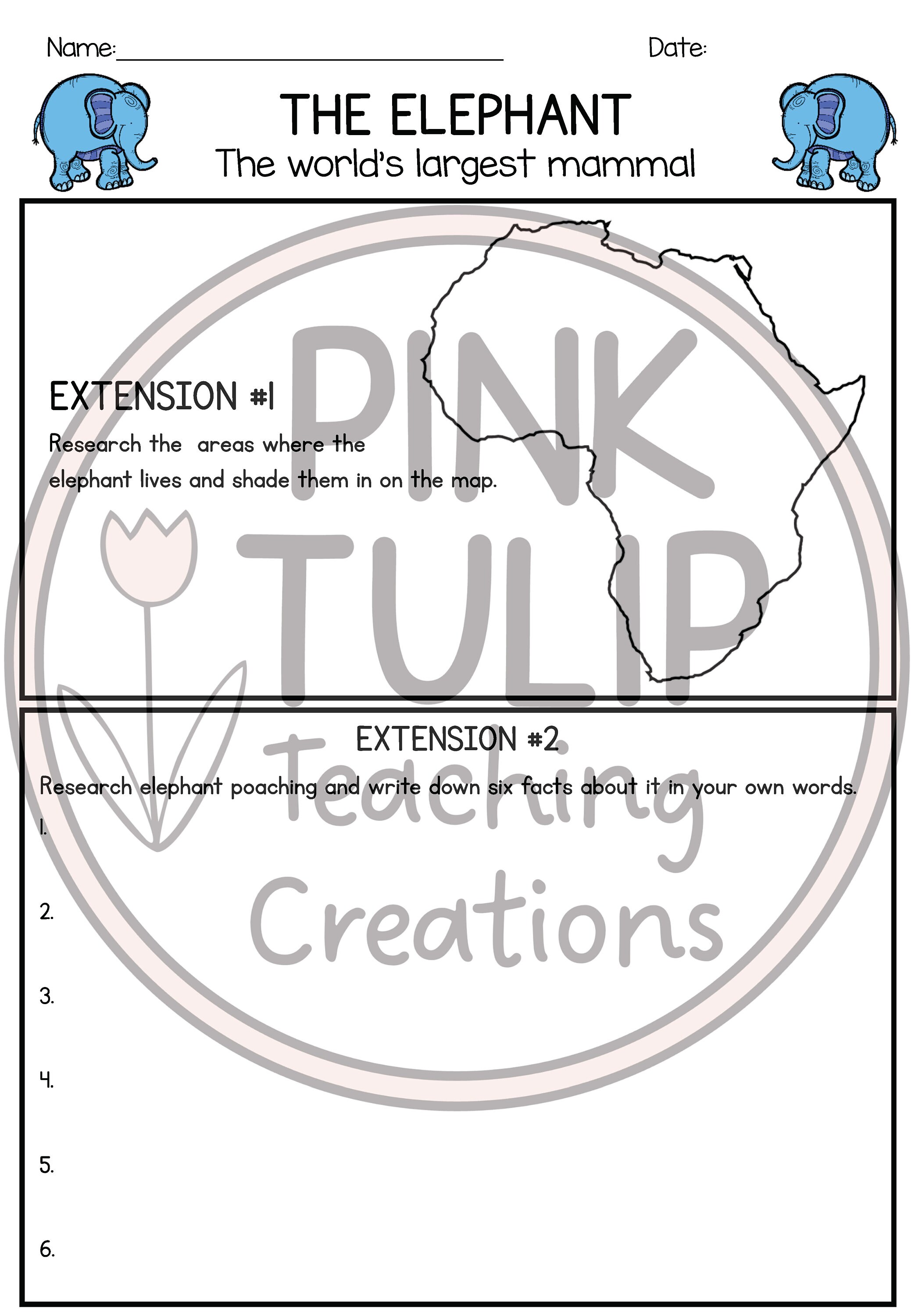 African Animals - Reading Comprehension Pack - Etsy
