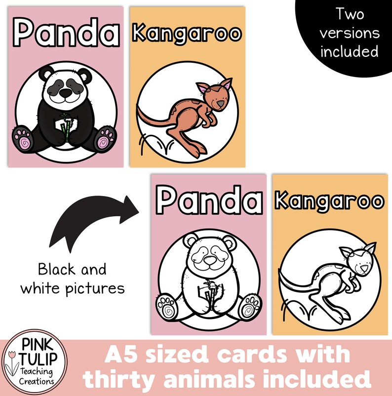 Animal Flash Cards Pastel Rainbow Theme - Etsy