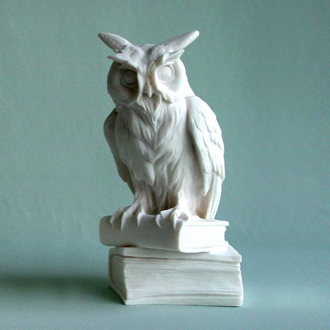 Owl Standing on Books in White Color - Etsy