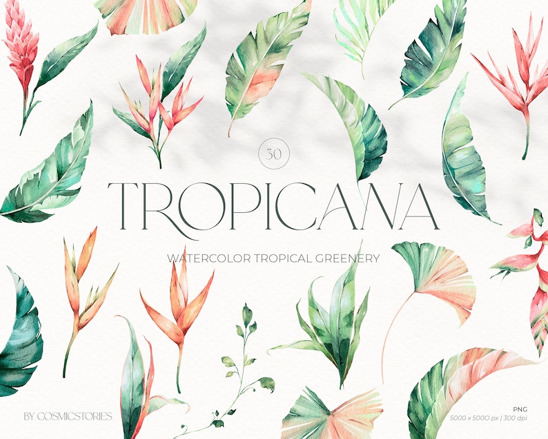 Tropical Leaves Clipart, Watercolor Flowers, Watercolor Floral Frame ...
