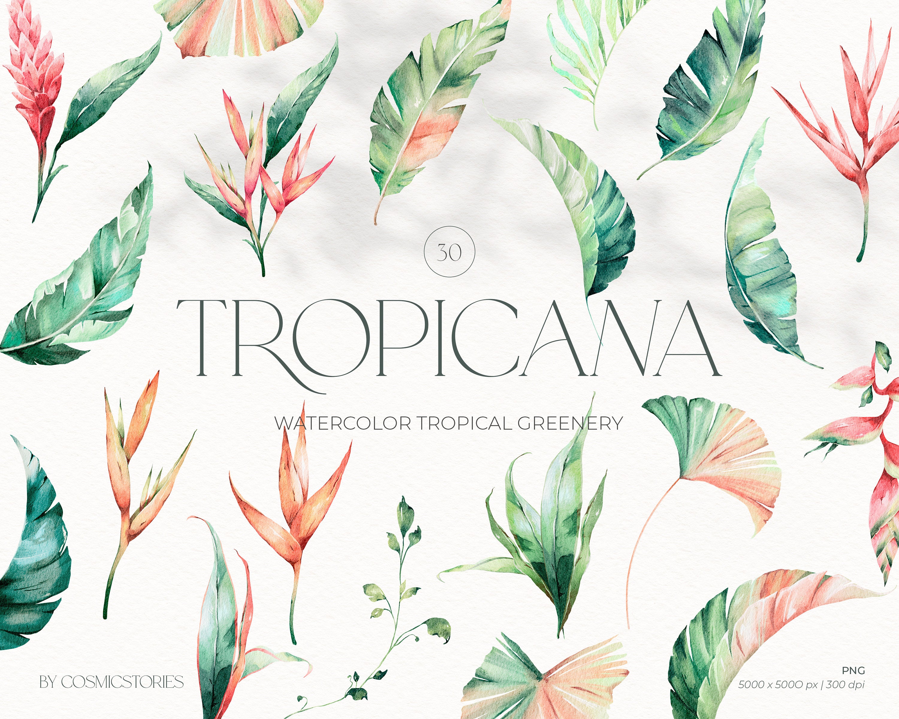 Tropical Leaves Clipart, Watercolor Flowers, Watercolor Floral Frame ...