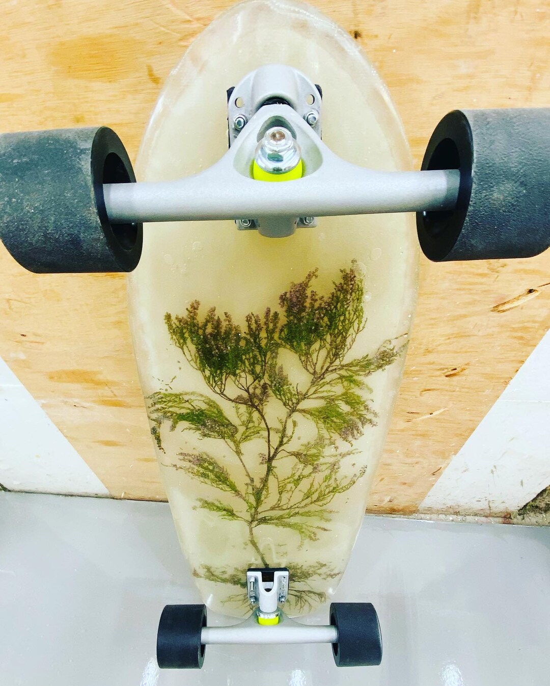 Heather Tree Skate Deck - Etsy