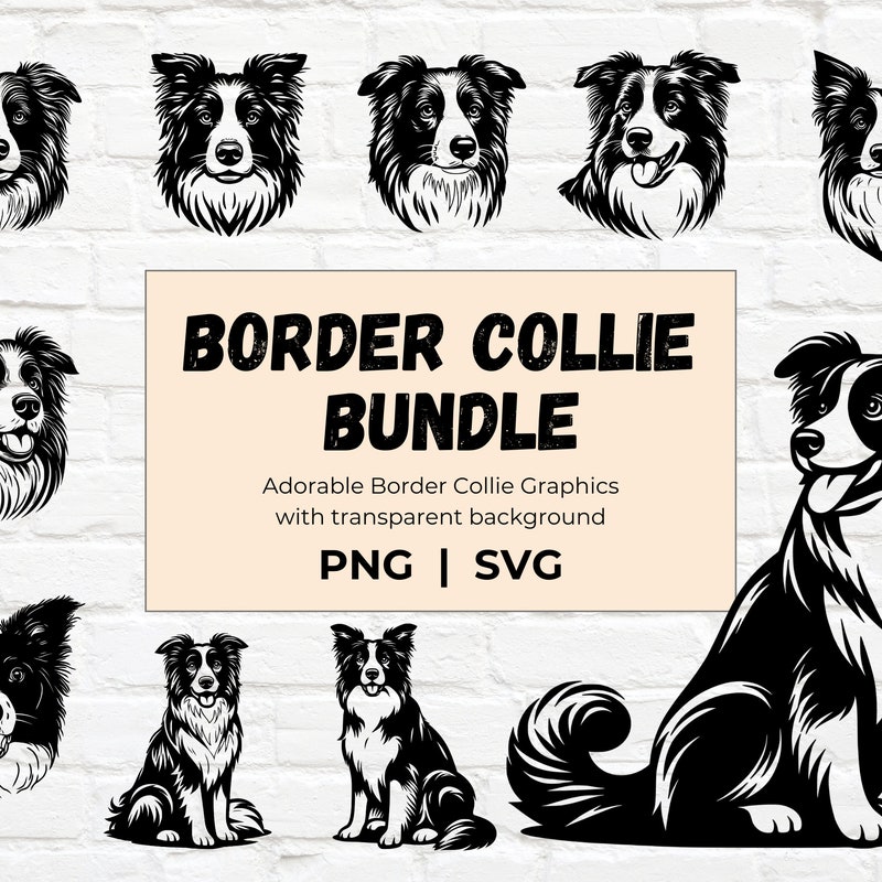 Border Collie Svg - Etsy