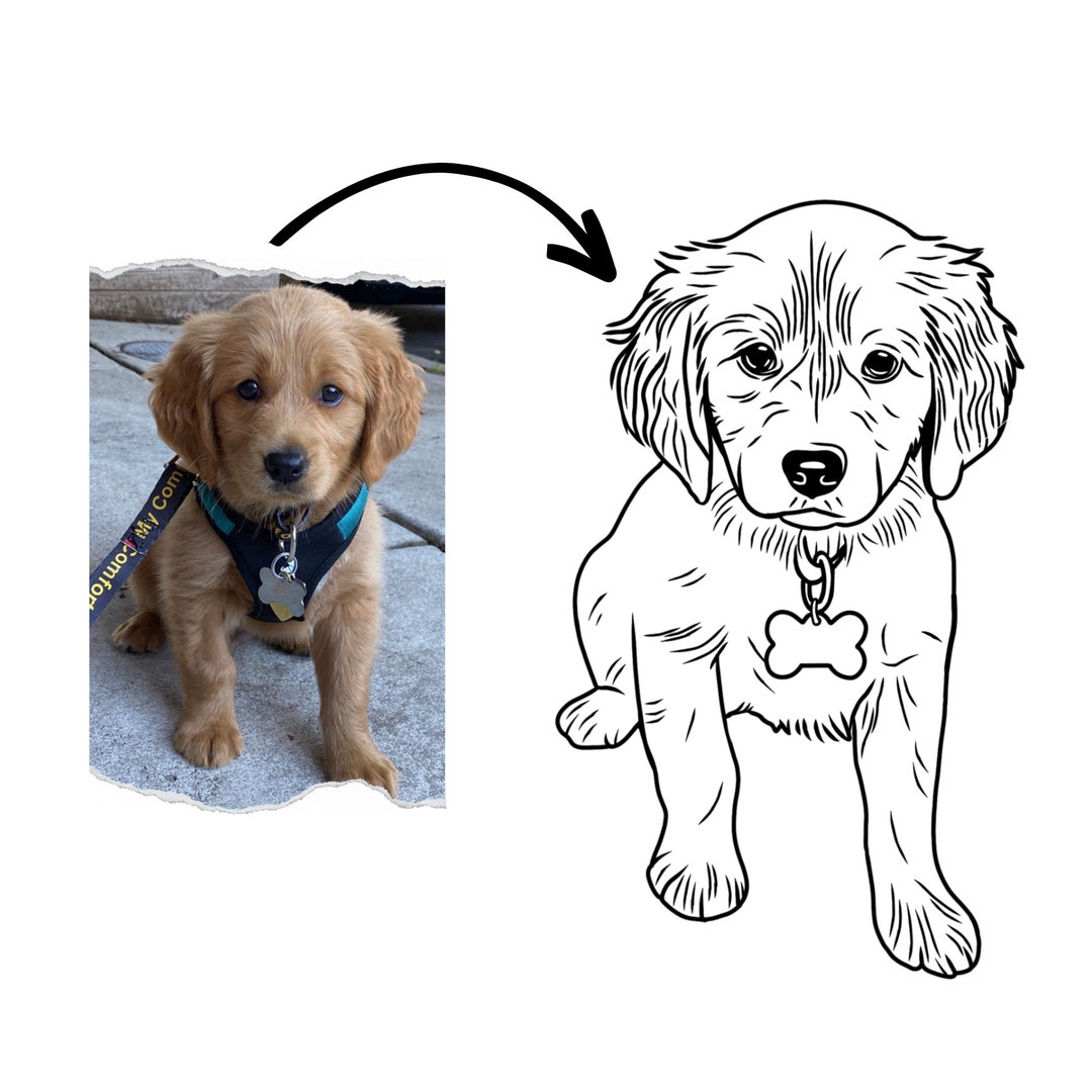 Pet Outline Drawing | Personalized Line Drawing | Illustration From ...