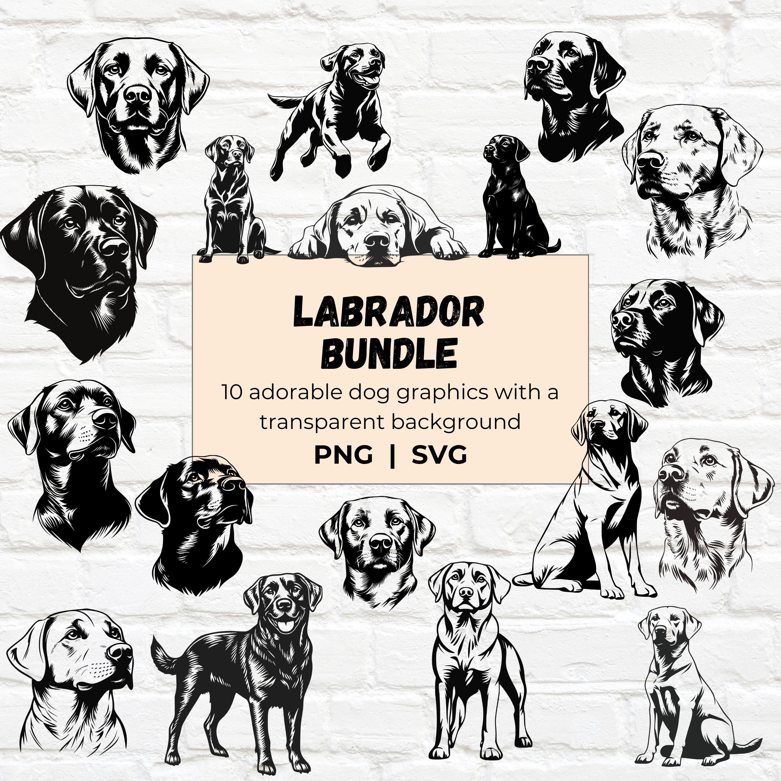 Labrador Dog SVG Bundle: Portrait Clipart for Cricut (digital Download ...