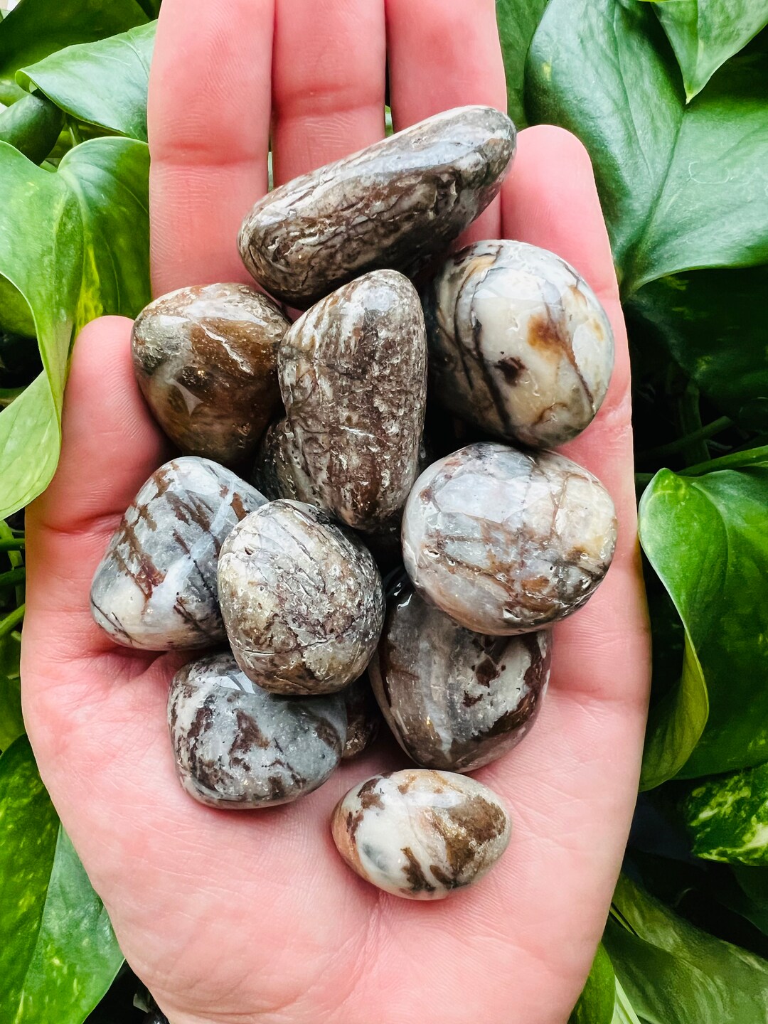 Panther Jasper Tumbled - Etsy