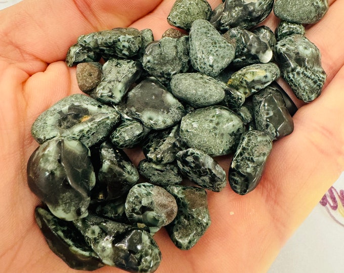 Michigan Greenstone Chlorastrolite Pendant and Necklace - Large Gem ...