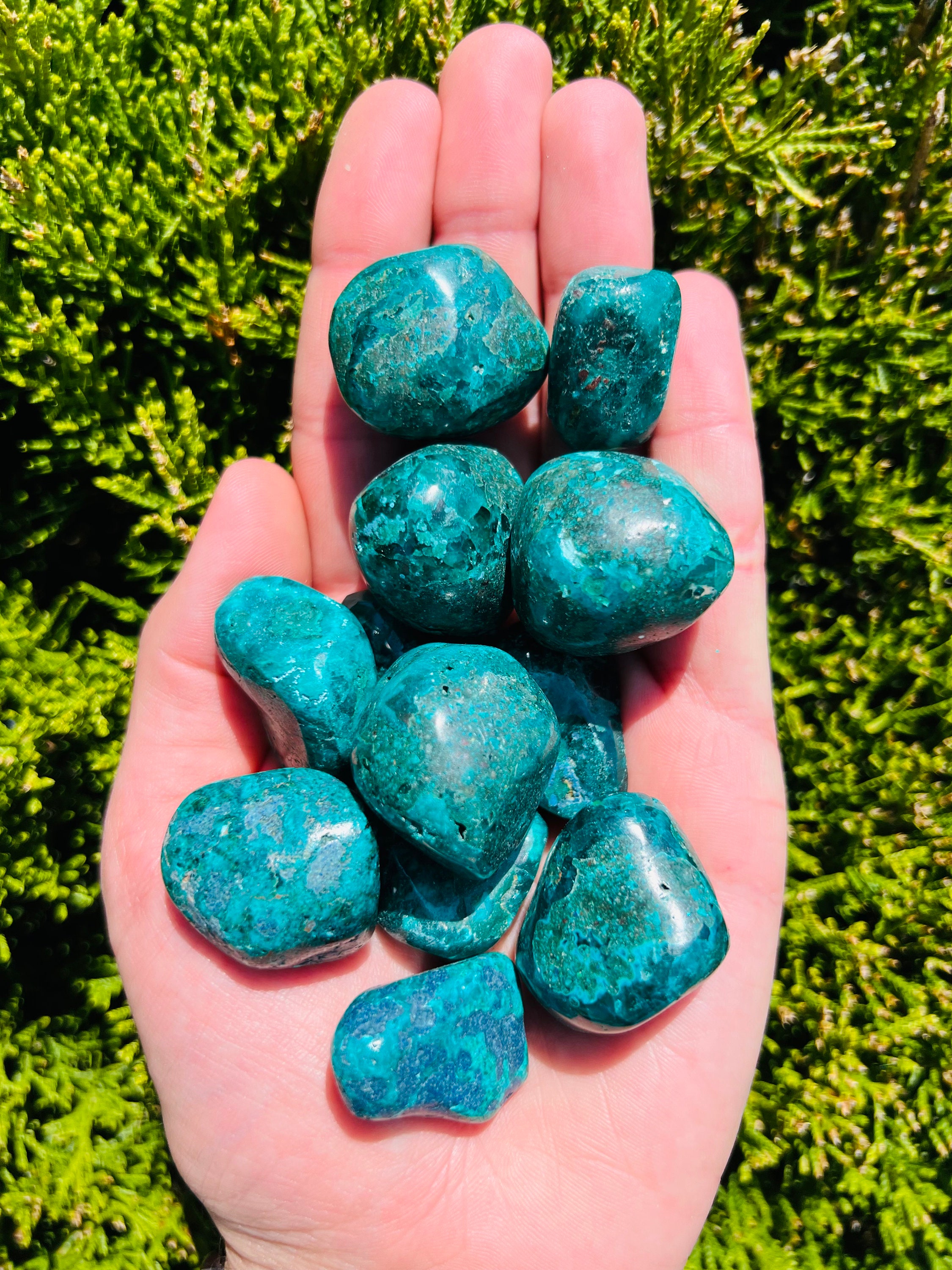 Tumbled Dioptase