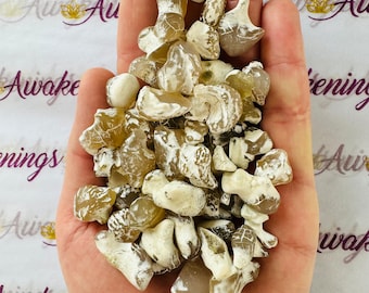 Snakeskin Agate Tumbled Stone, Crystal Gemstone Polished Natural High ...