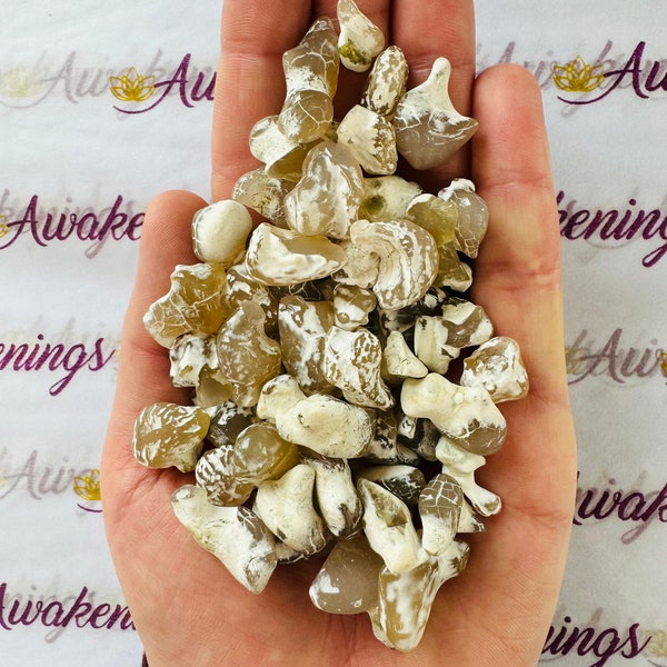 Snakeskin Agate - Etsy