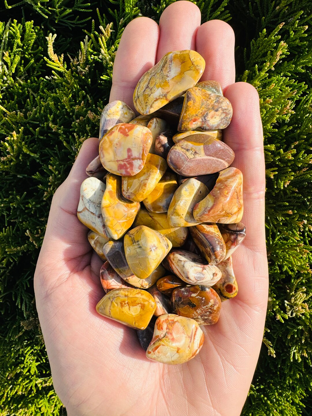 Birds Eye Rhyolite Tumbled - Etsy