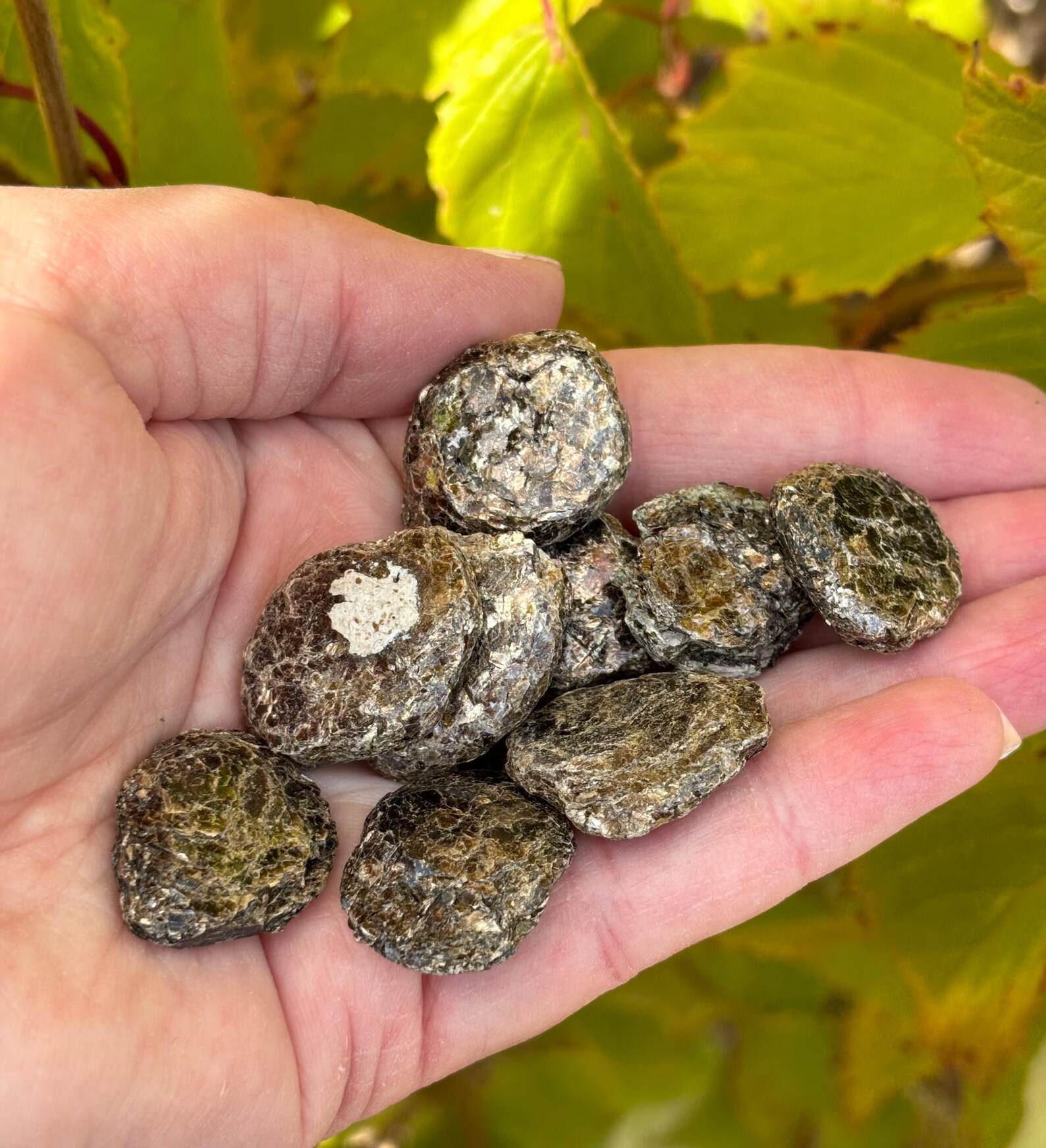 Biotite in Mica - Tumbled - 1 Stone - Etsy