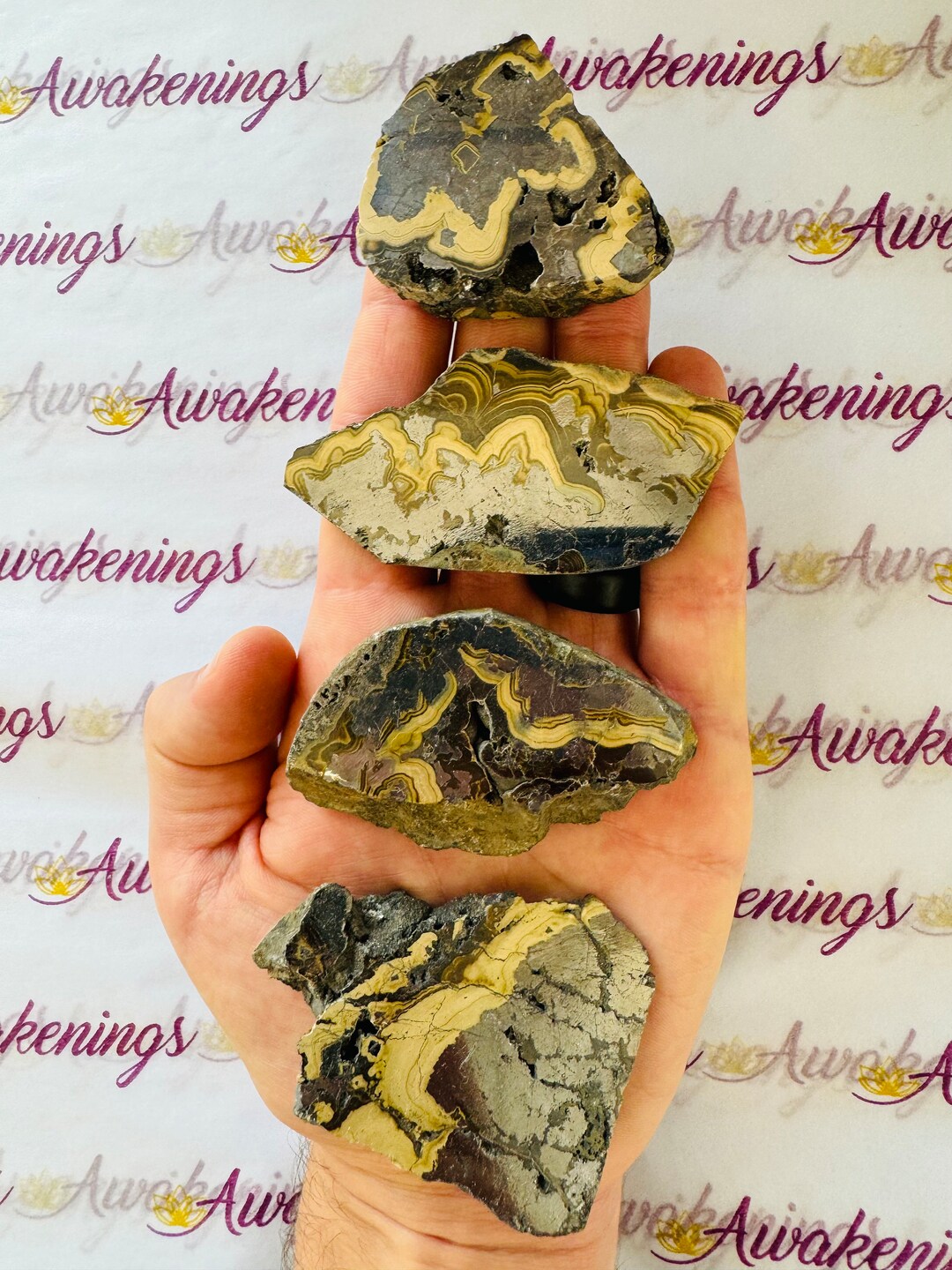 Schalenblende - Slice Slab (galena Wurtzite Sphalerite Pyrite ...