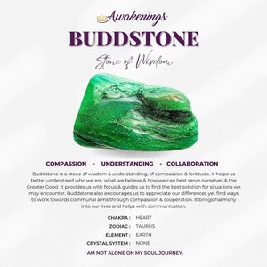 Buddstone - Tumbled - 1 Stone - Etsy