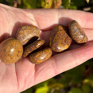 Arabic Miriam Jasper (calligraphy Script Stone) - Tumbled - 1 Stone - Etsy