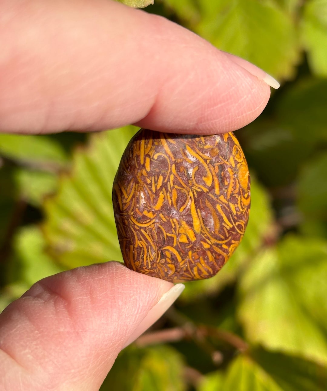 Arabic Miriam Jasper (calligraphy Script Stone) - Tumbled - 1 Stone - Etsy
