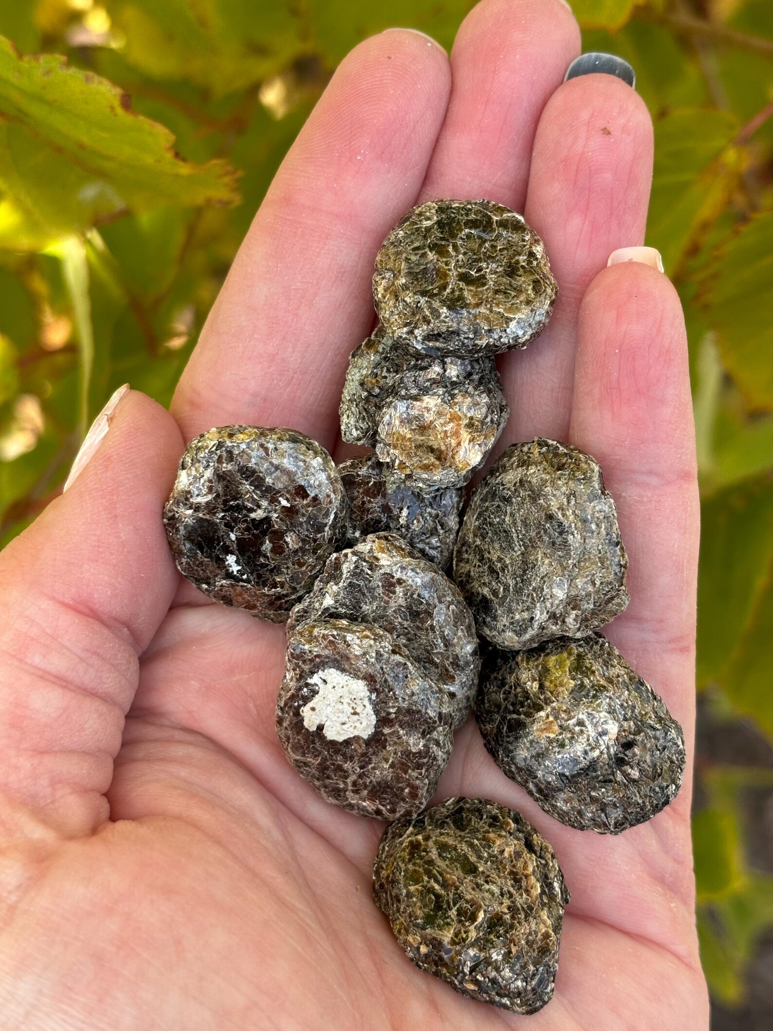 Biotite in Mica - Tumbled - 1 Stone - Etsy