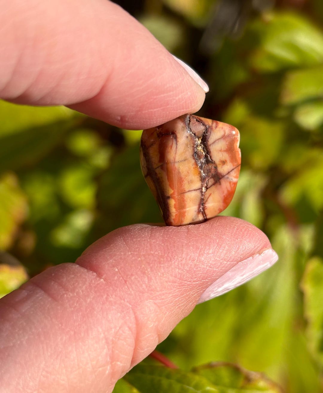 Birds Eye Rhyolite Tumbled - Etsy