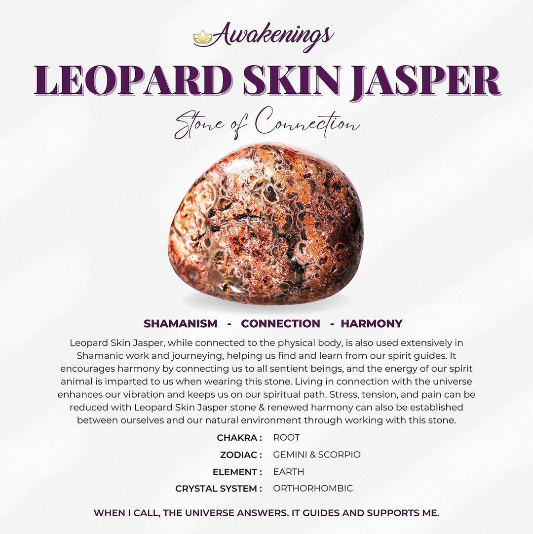 Leopardite - Tumbled - Etsy