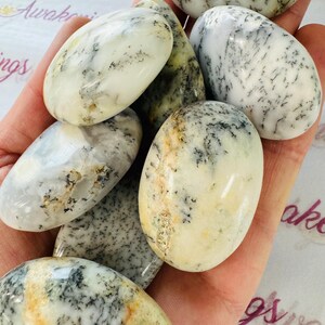 White Dendritic (dendrite) Palm Pillow Stone - 1 Stone - Etsy