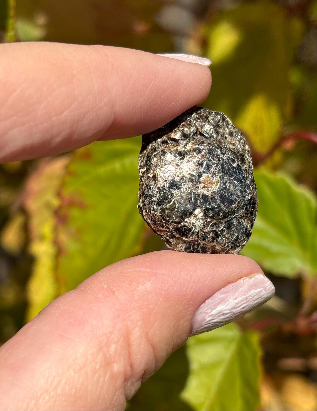 Biotite in Mica - Tumbled - 1 Stone - Etsy