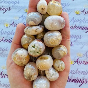 Flower Agate (cherry Blossom) - Tumbled - 1 Stone - Etsy