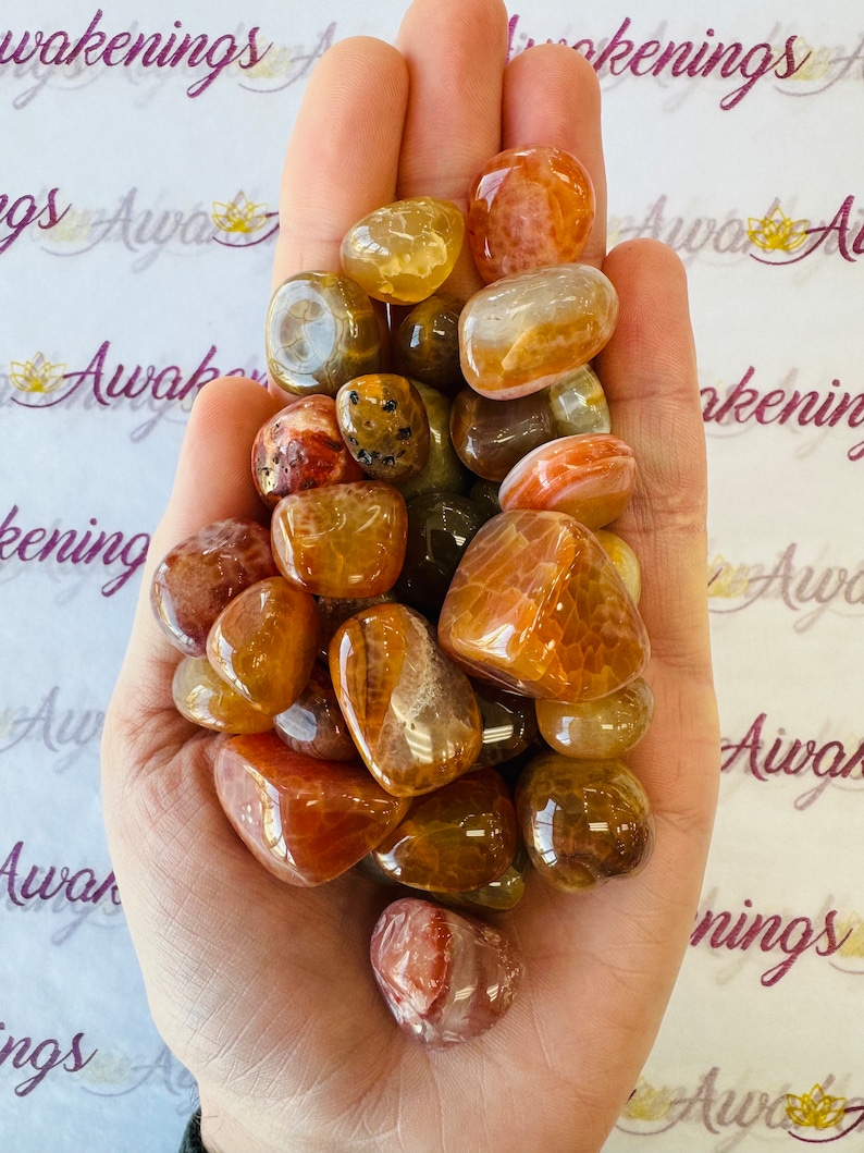 Red Fire Agate - Tumbled - 1 Stone - Etsy