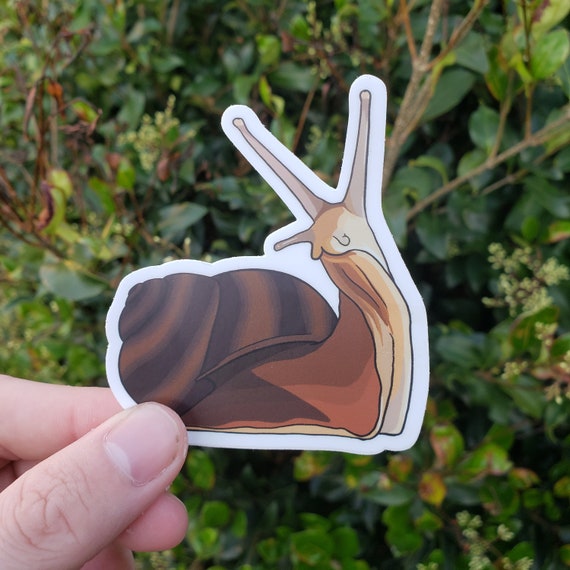 Snail Sticker Decal Garden Snail Slug Bug Insect | Etsy