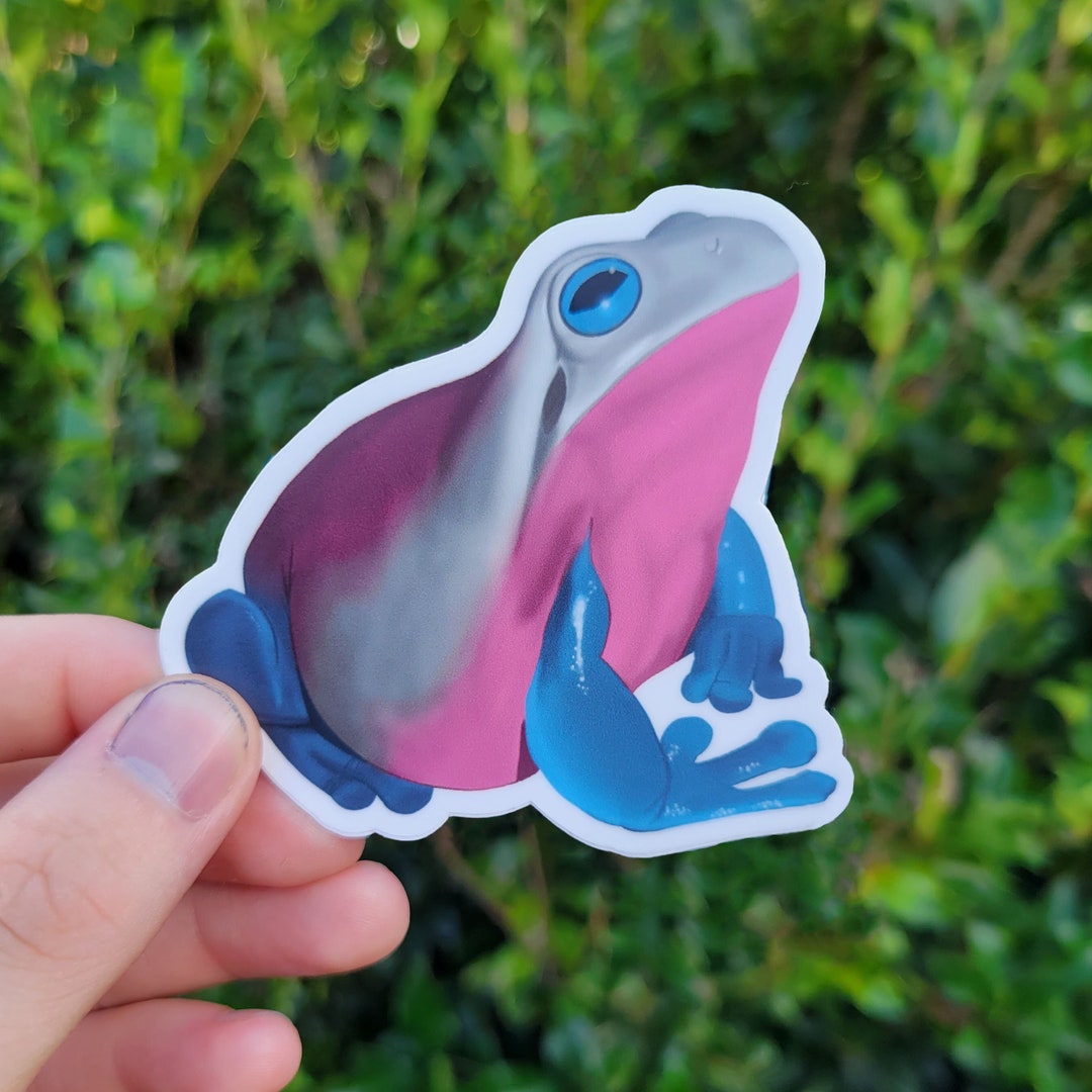 Trans Frog Sticker Decal Pride Tree Frog Queer Rainbow Transgender - Etsy