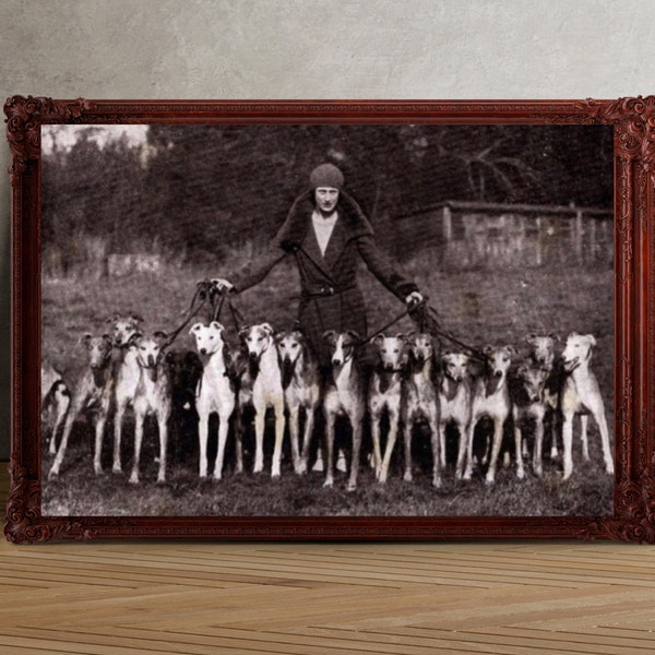 Whippet Metal Signs - Etsy UK