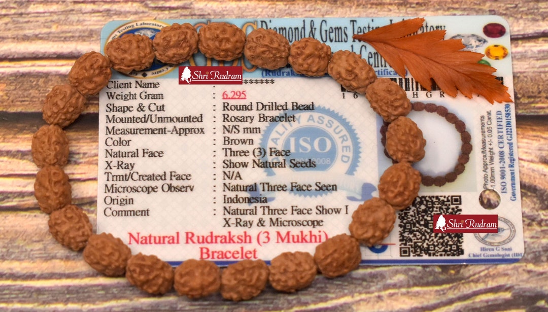 Shri Rudram 3 Mukhi Rudraksha Bracelet / Three Face Rudraksh Wristlet ...