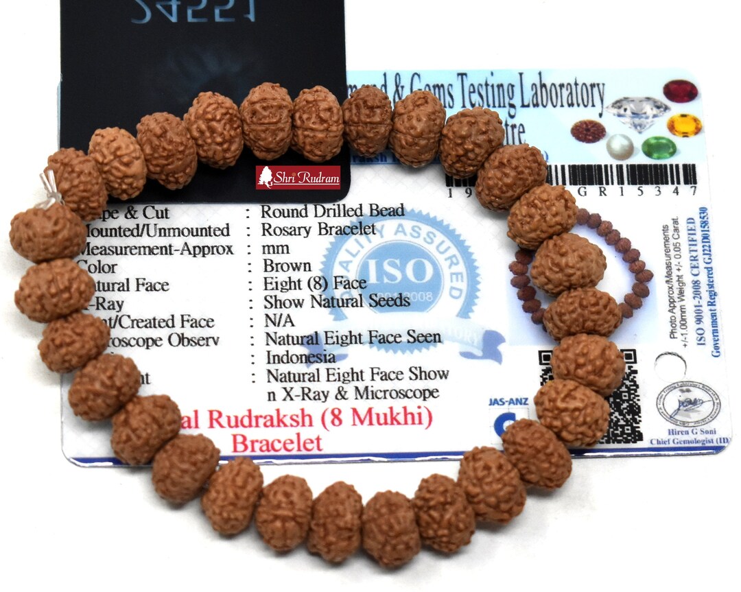 Shri Rudram 8 Mukhi Rudraksha Bracelet / Eight Face Rudraksh - Etsy