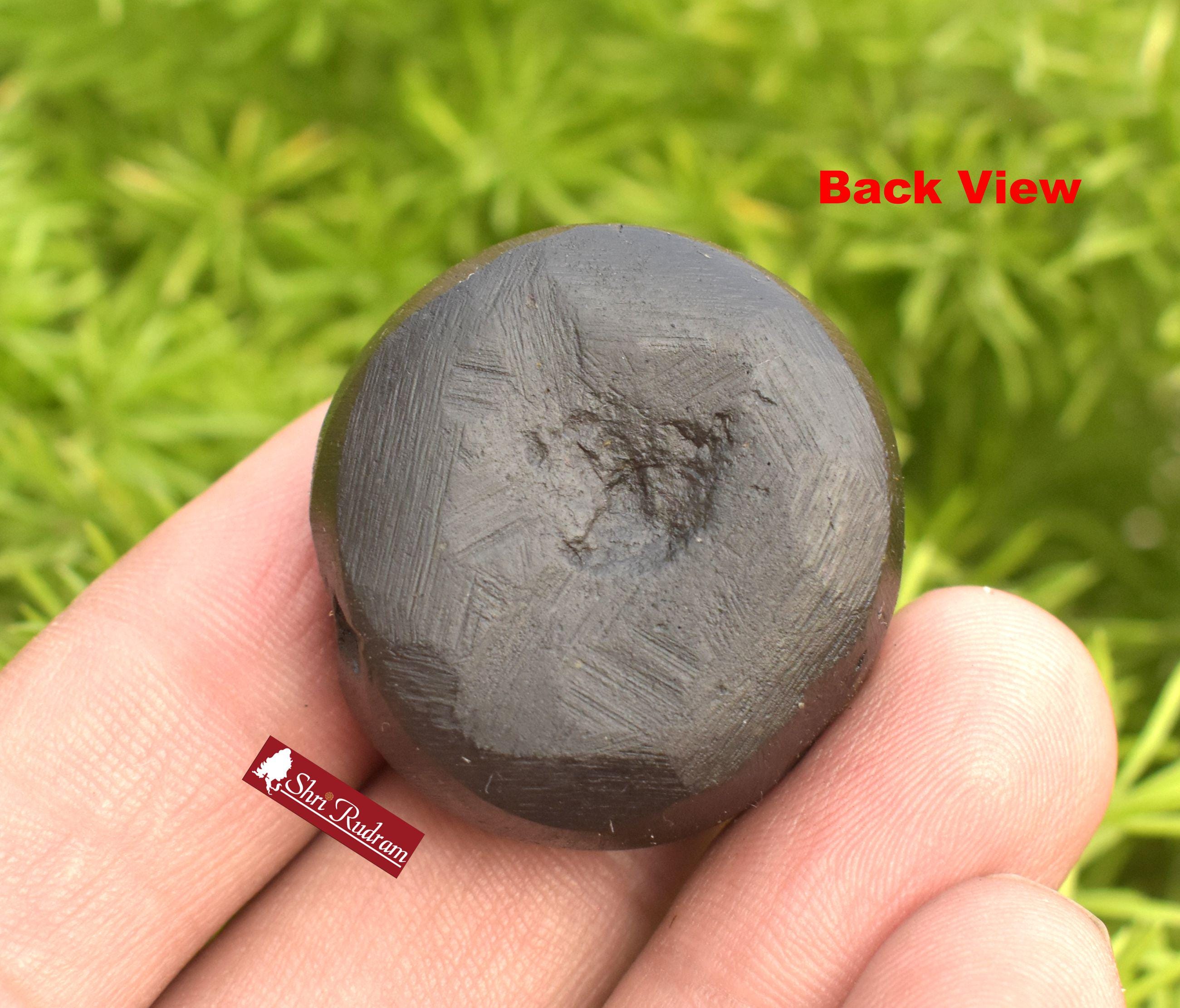 Shrirudram Sudarshan Shaligram / Sudershan Saligram Stone Ammolite ...