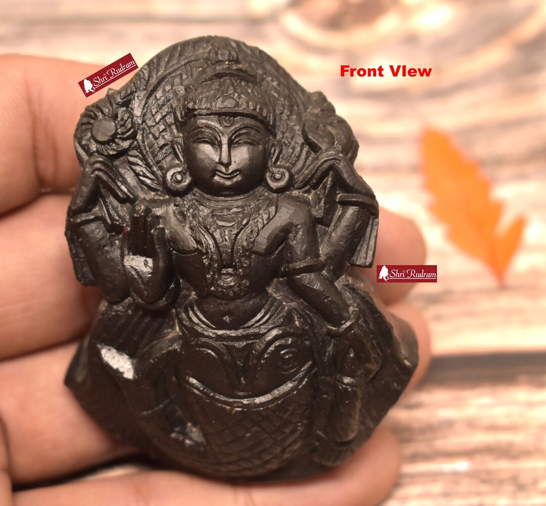 Shrirudram Matsya Murti / Matasya Statue Idol Carved on Sudarshan ...