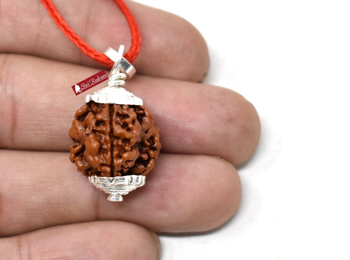 Shri Rudram 3 Mukhi Rudraksha / Three Face Rudraksh Nepal Bead ...