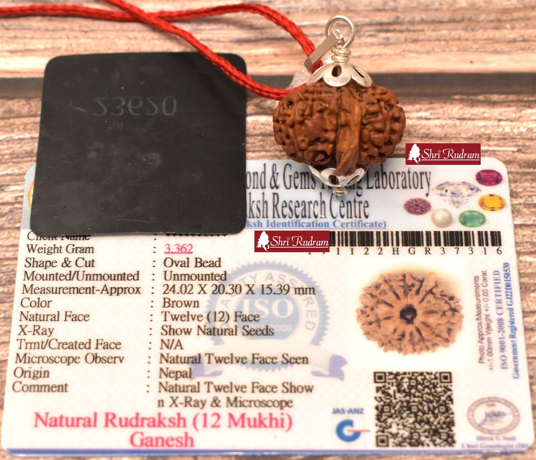 Shrirudram 12 Mukhi Ganesh Rudraksha / Twelve Face Ganesh Rudraksh ...