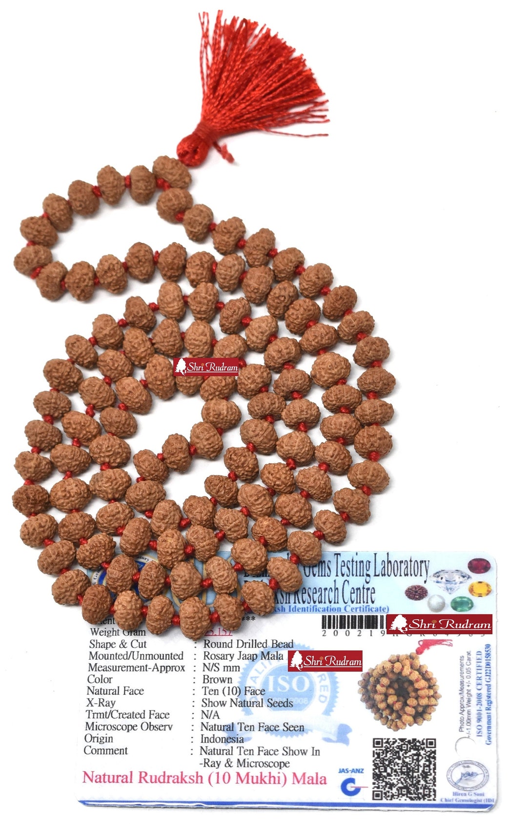 Shri Rudram 10 Mukhi Rudraksha Mala / Ten Face Rudraksh Rosary - Etsy