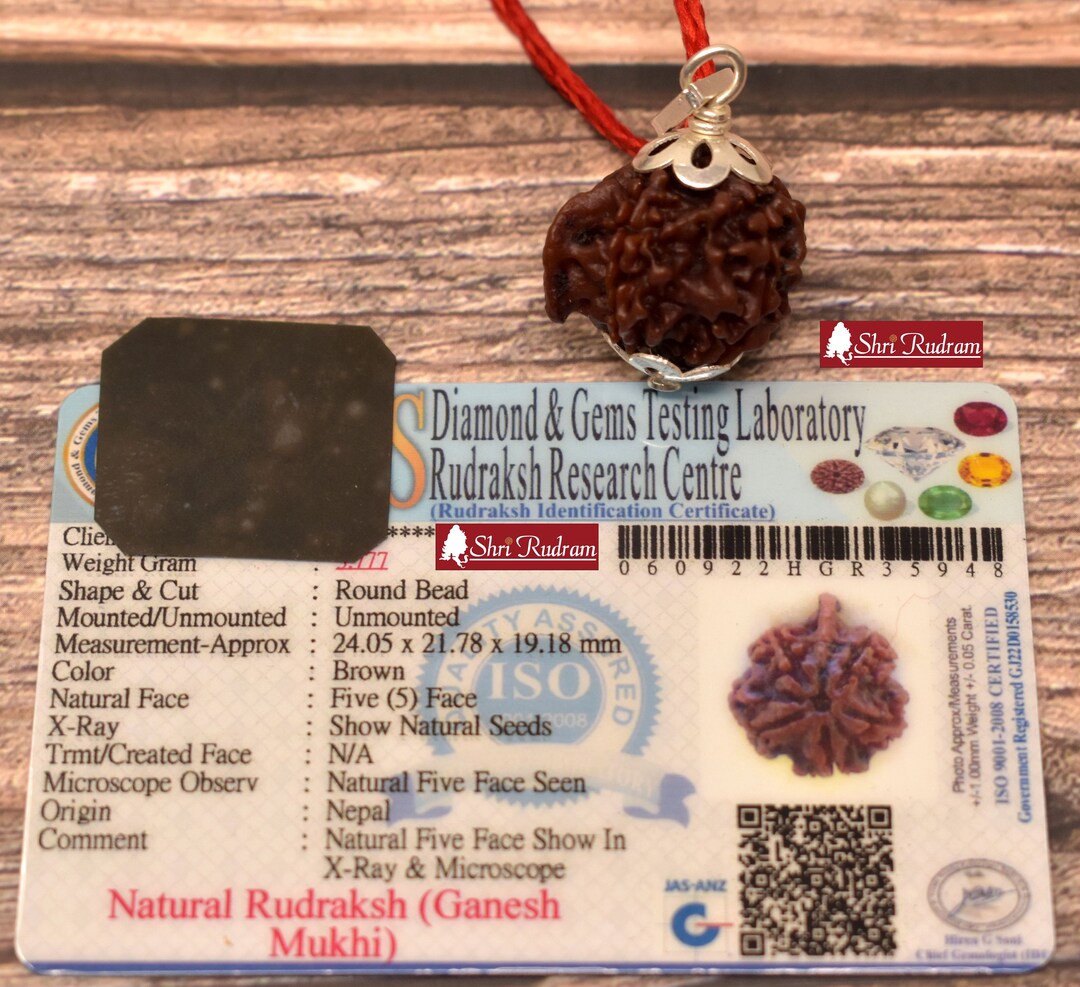 Shrirudram Ganesh Rudraksha / Ganesha Rudraksh Nepal Bead Lab - Etsy