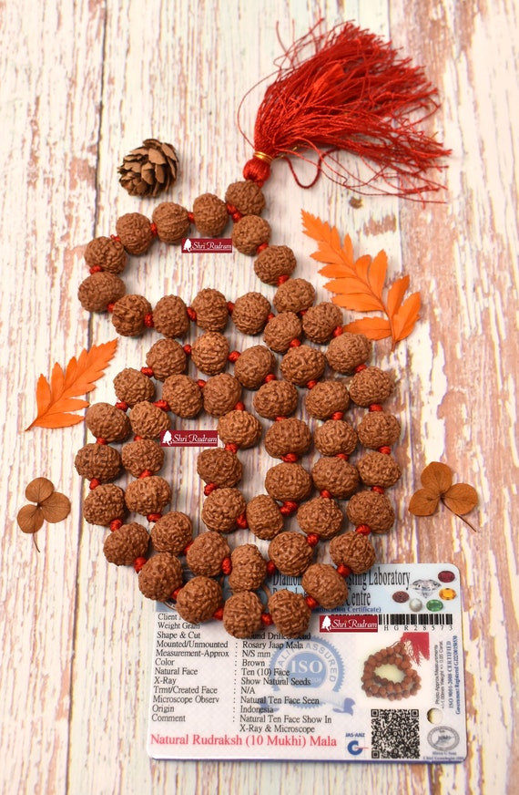 Shrirudram 10 Mukhi Rudraksha Mala / Ten Face Rudraksh Rosary - Etsy