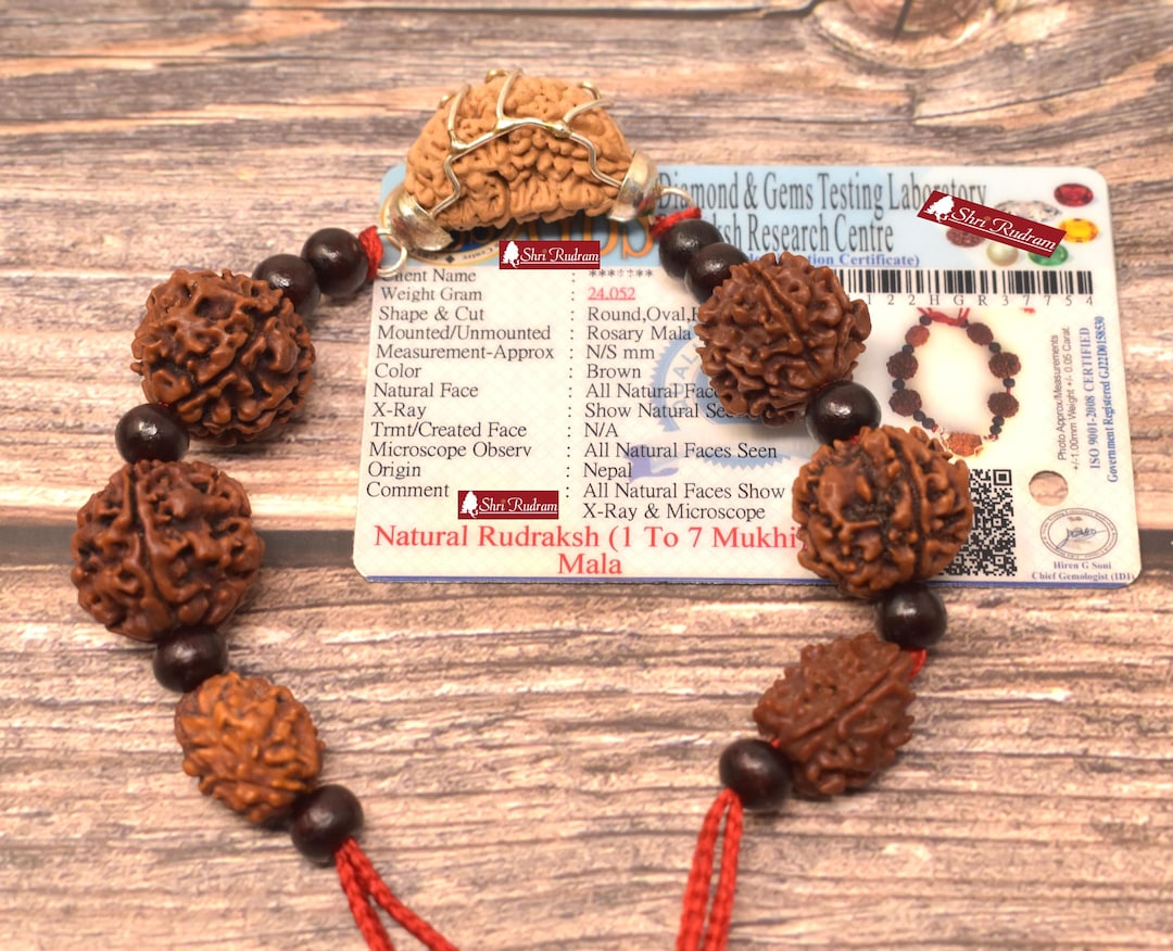 Shri Rudram Rudraksh Rudraksha 1 2 3 4 5 6 7 Mukhi Beads Mala Necklace ...