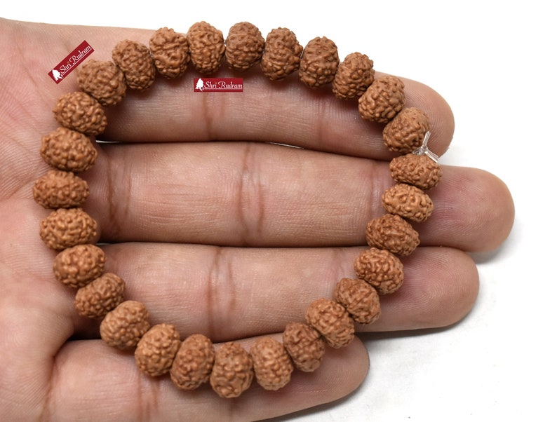 Shri Rudram 8 Mukhi Rudraksha Bracelet / Eight Face Rudraksh - Etsy