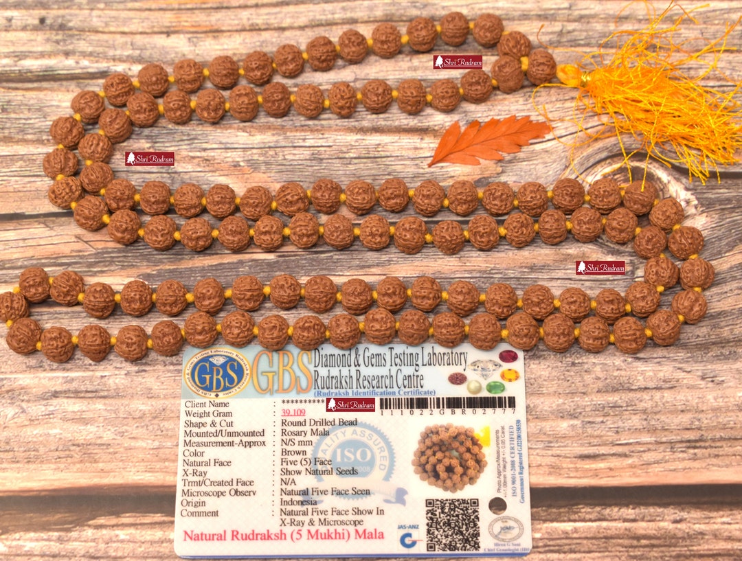 Shrirudram 5 Mukhi Rudraksha Mala / Five Face Rudraksh Rosary Lab Certified 108+1 Beads 9 MM Top ...