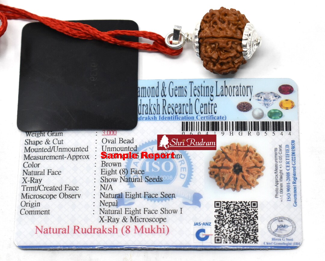 Shrirudram 8 Mukhi Rudraksha Eight Face Rudraksh Nepal Bead Lab ...