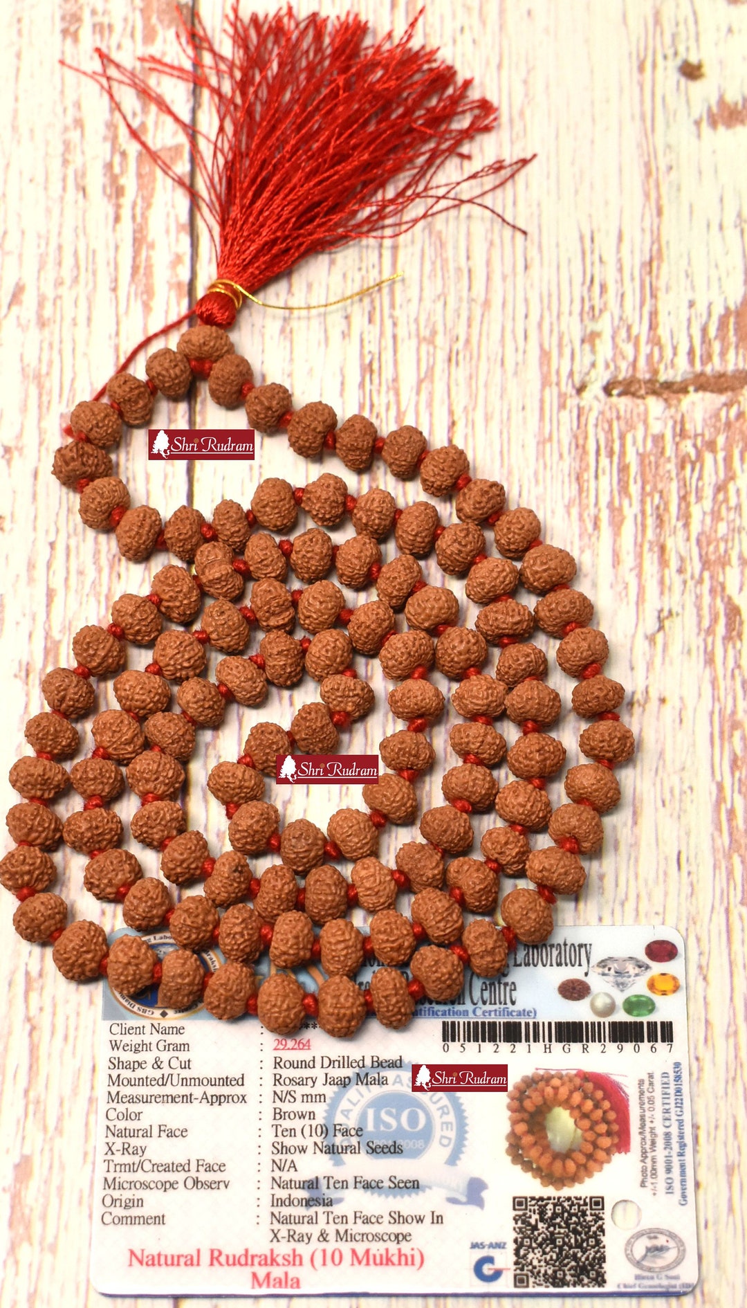 Shri Rudram 10 Mukhi Rudraksha Mala / Ten Face Rudraksh Rosary Java Lab ...