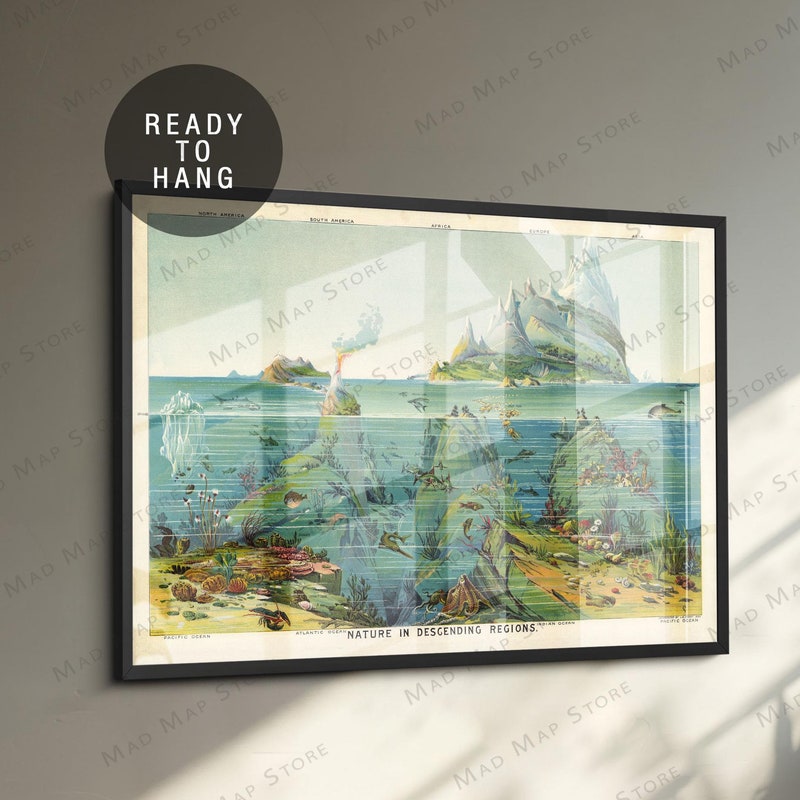 Nature Poster - Etsy