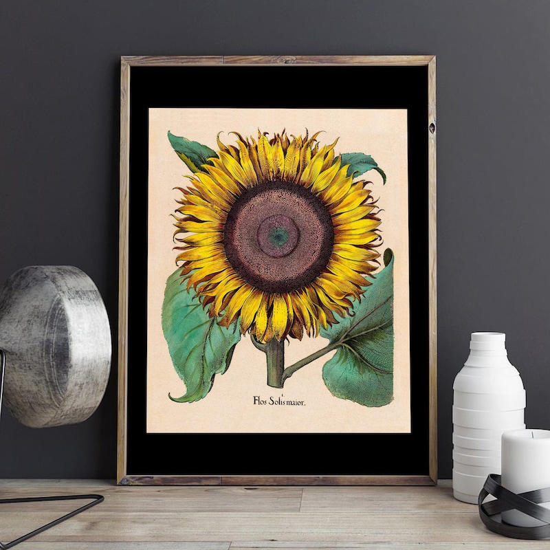 Sunflower Poster - Etsy